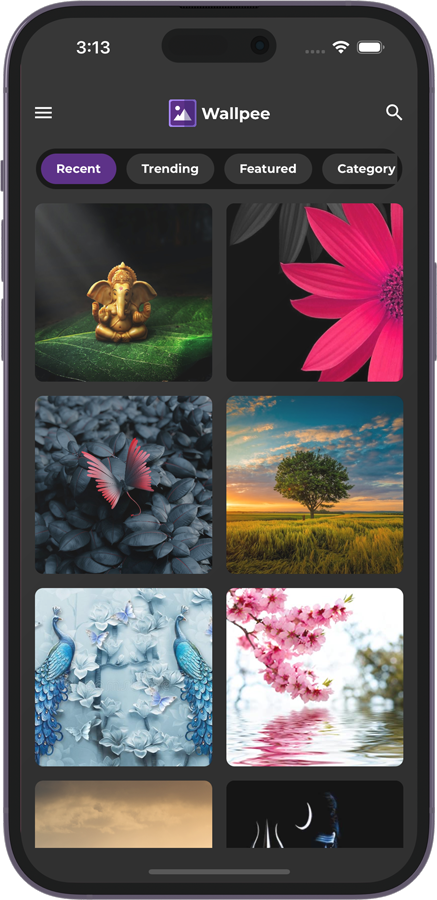 Wallpee - Full React native wallpaper app with backend, Graphql API by MahardhiThemes